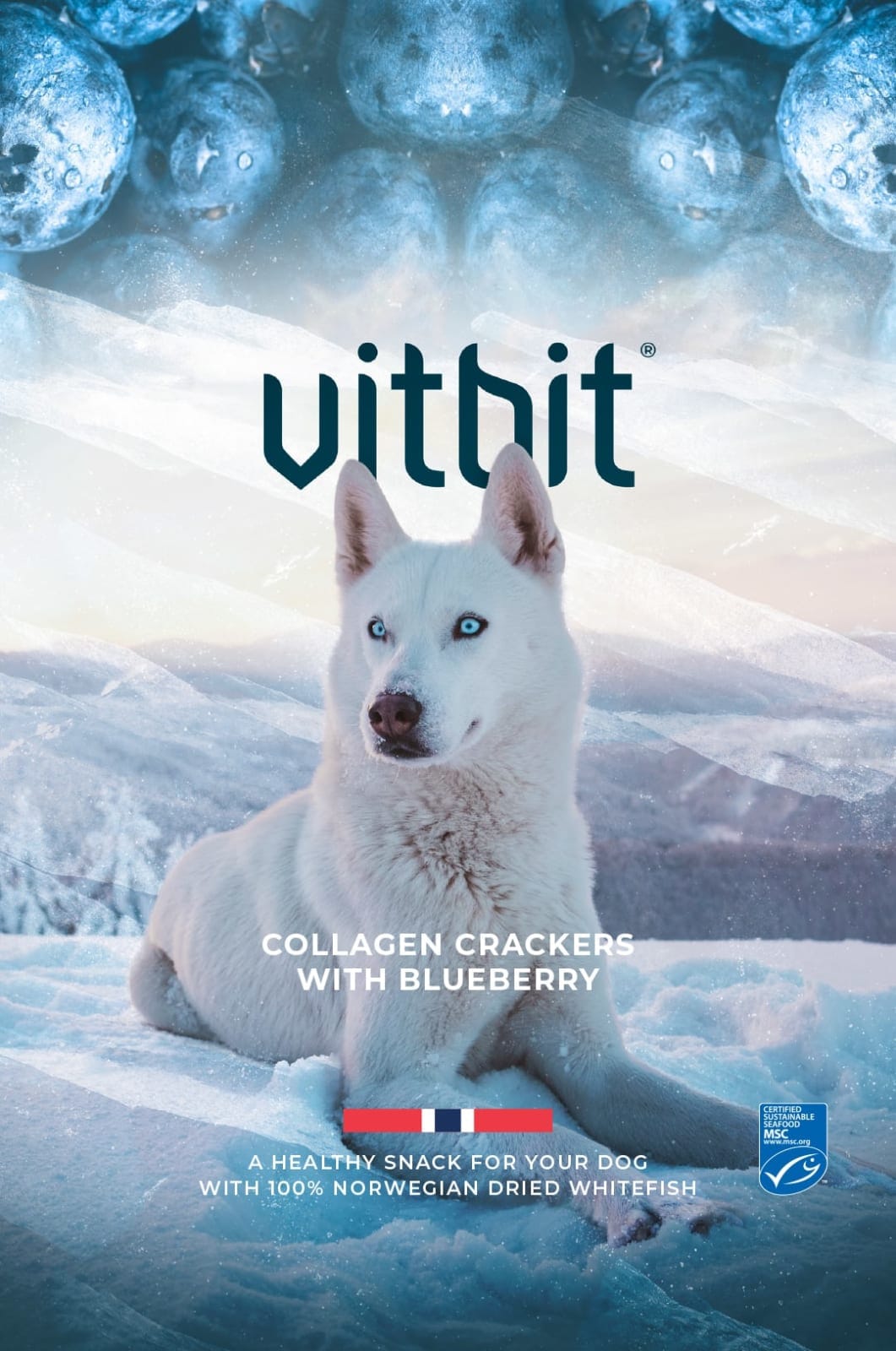 VitBit Collagen Crackers m/Blåbær 70g | HCPet.no | Gratis frakt over 1000kr