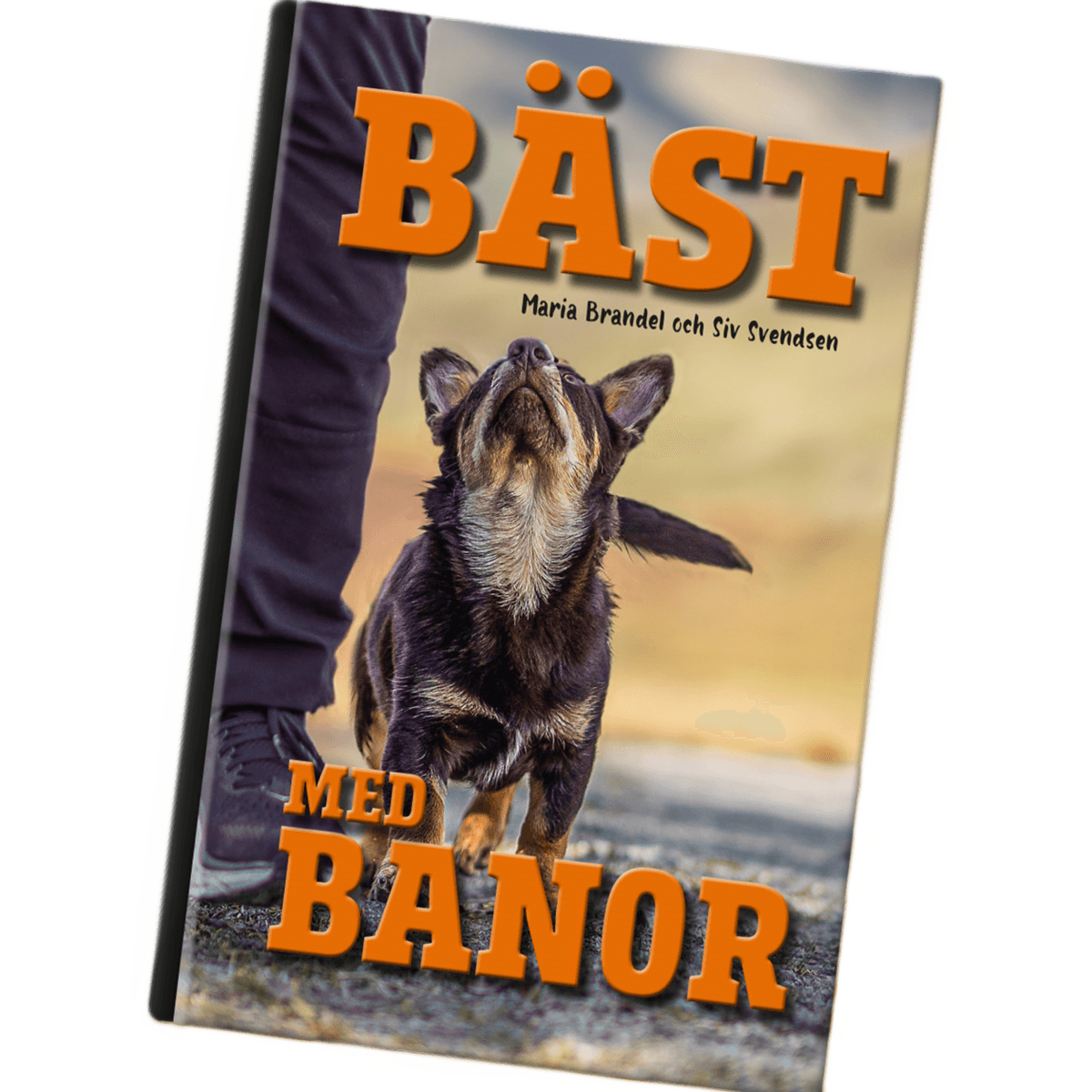 Bok Bäst med Banor | HCPet.no | Gratis frakt over 1000kr